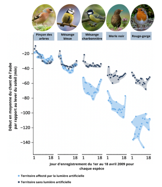 Pollution lumineuse, oiseaux et zones humides - Maison du Lac de Grand-Lieu